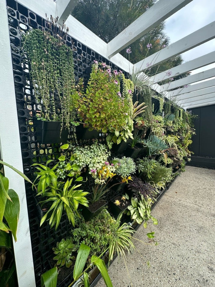 Benefits of Vertical Garden and Green Wall Hanging Pots